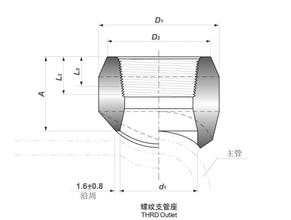 Threadolet ASTM A105N CL3000
